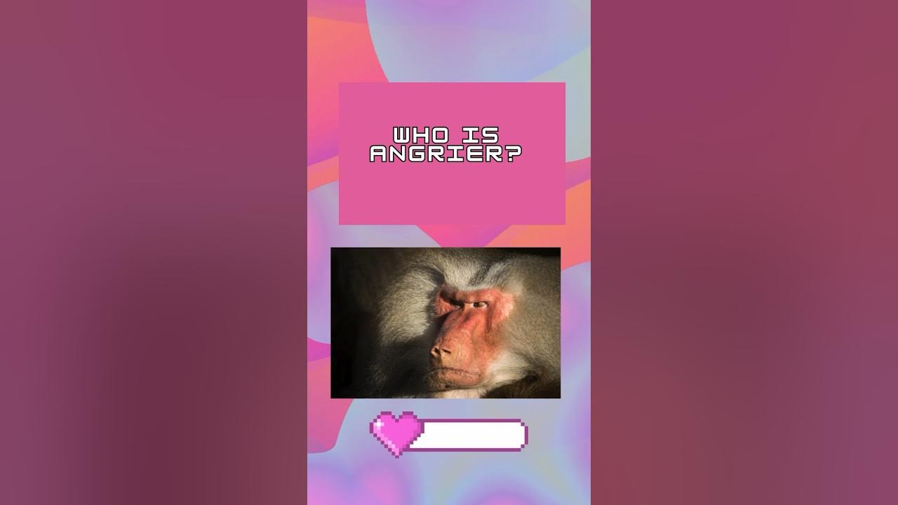 👩🏻🤝👨🏽couple Quiz Questions To Play With Your Love ️ Quizquestions Quiztime Couplequestions