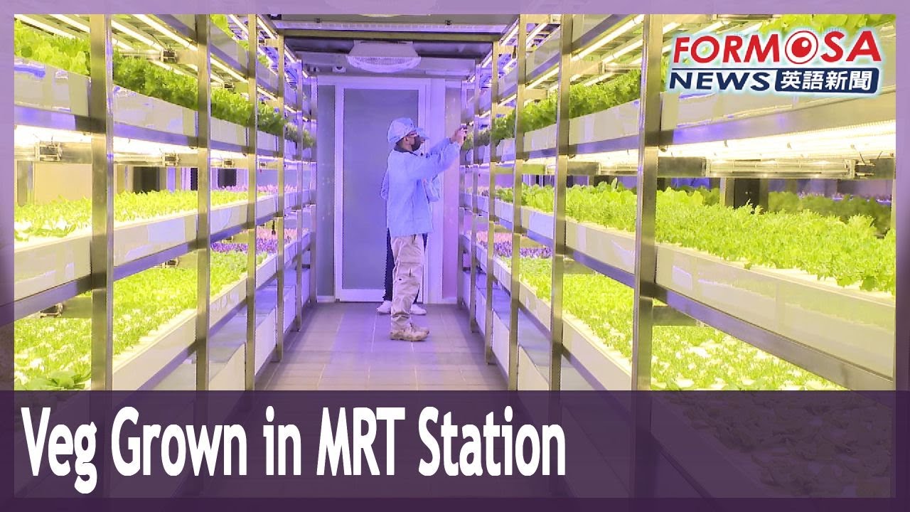 Metro Taipei opens high-tech vegetable farm within Nanjing Fuxing ...