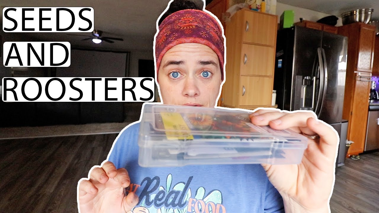 Rooster Wrangling and Seed Starting | Homestead VLOG | Fermented ...