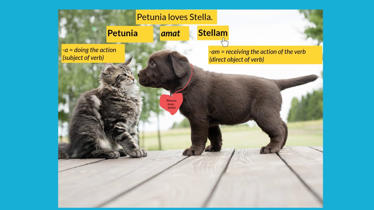 Latin: Introduction to Noun Inflection - YouTube