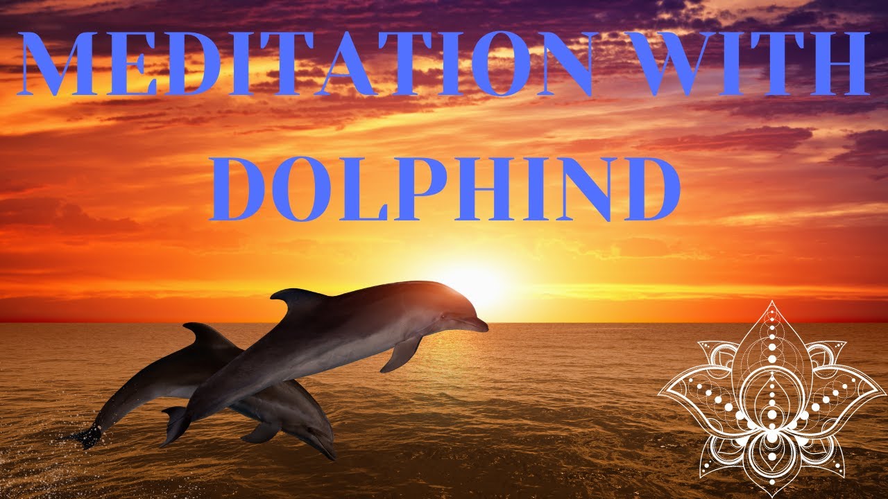 Meditation With Dolphins - Sounds of Dolphins - Relax Music ...