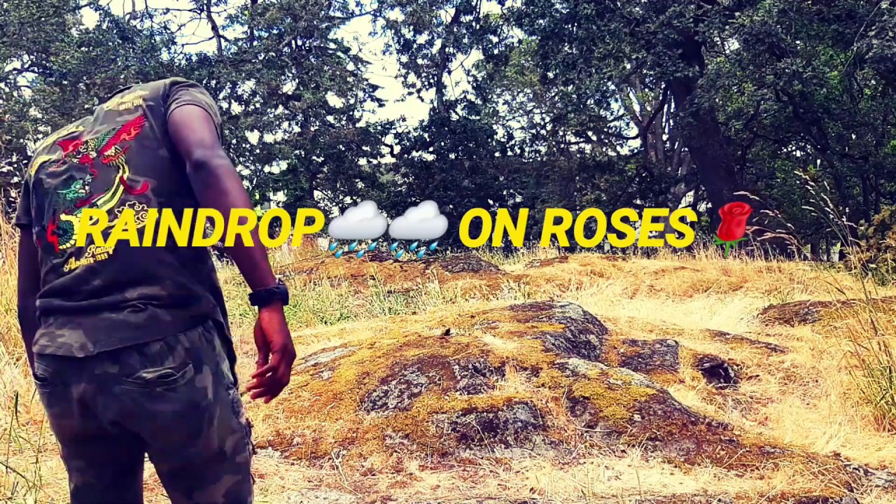 RAINDROP🌧ON ROSES🌹|JUNIOR NONSTOP SCOTT - YouTube