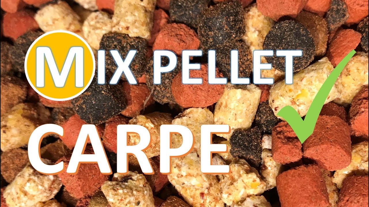 FAIRE UN MELANGE (MIX) DE PELLETS POUR LA CARPE - YouTube