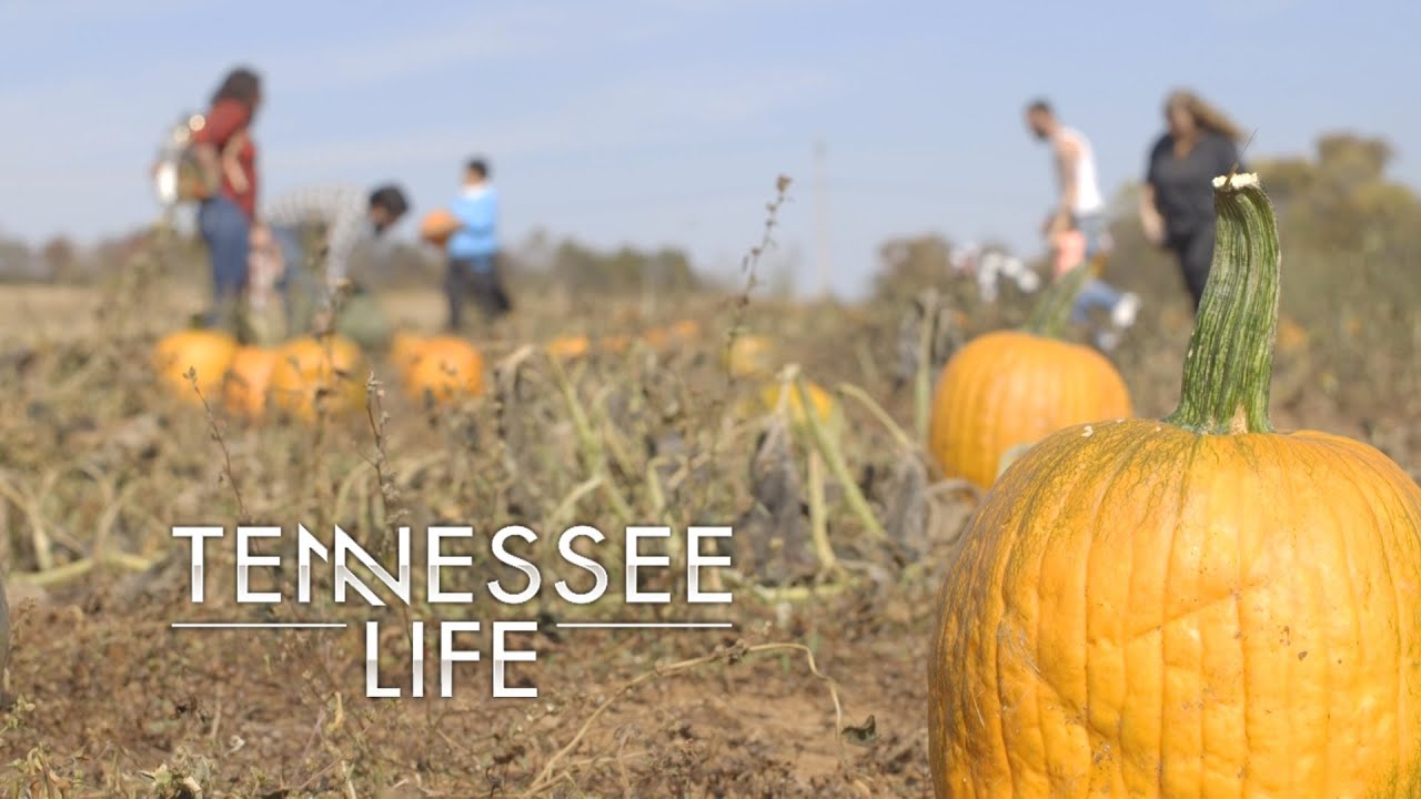 Tennessee Life: Finally Fall - YouTube