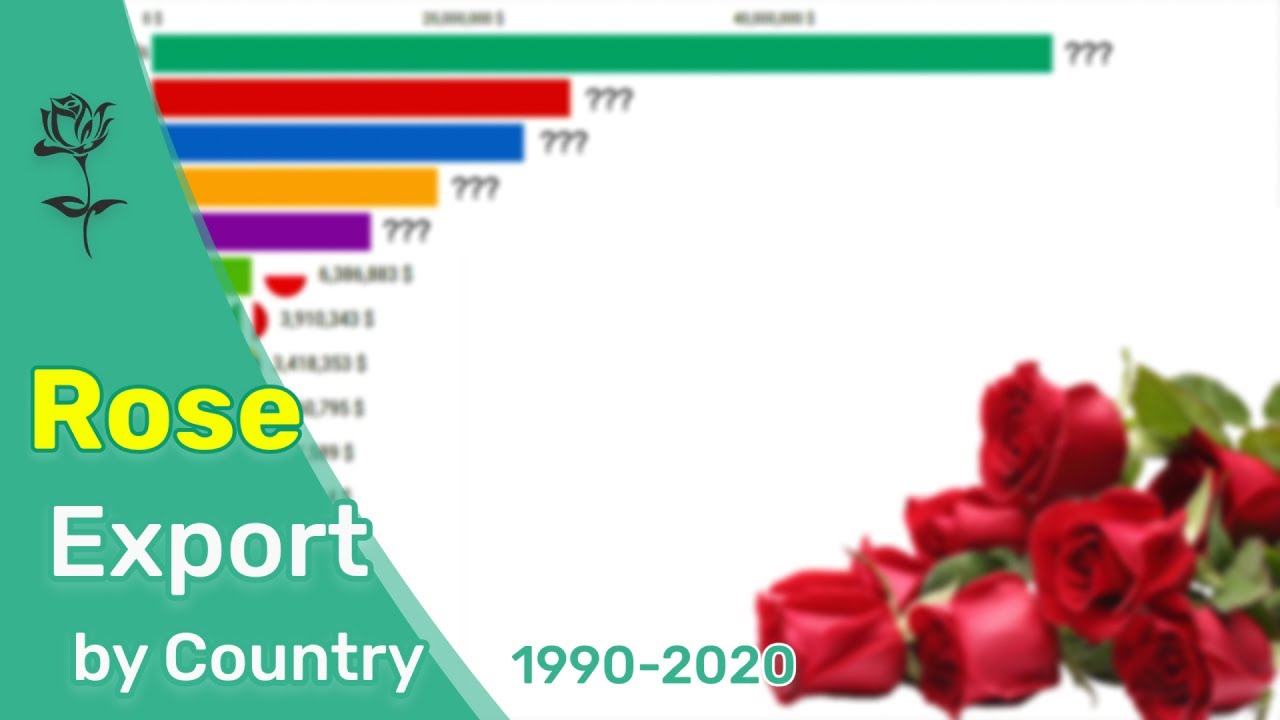 Top 15 Countries In Export Of Roses 🌹 | Data Nerd - YouTube