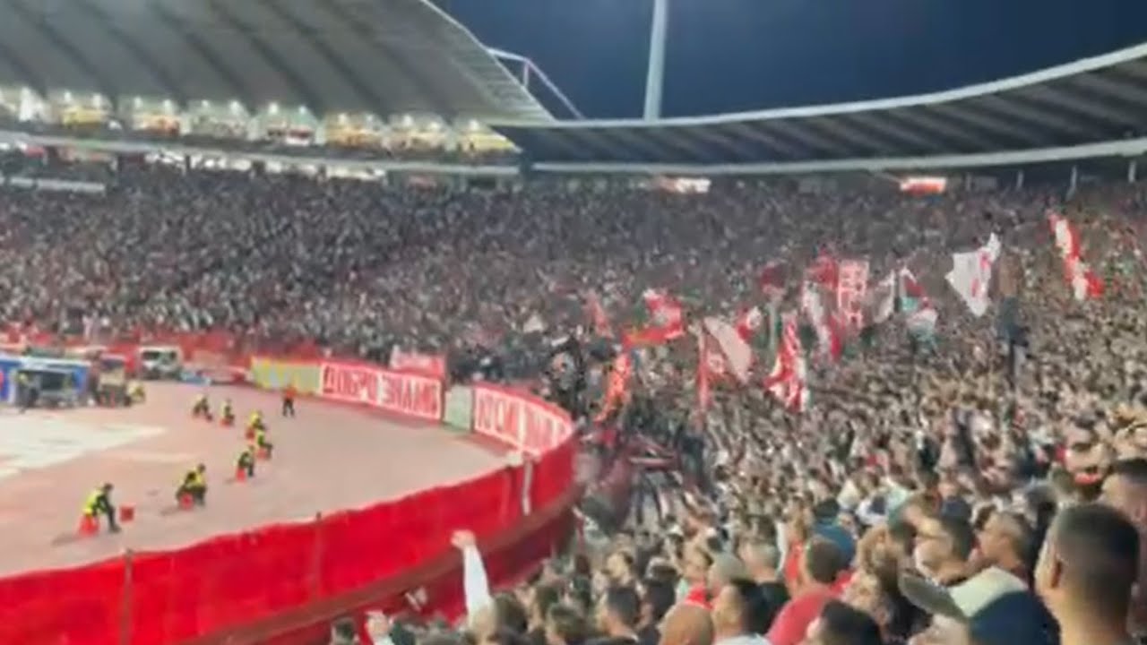 Red Star fans (Delije) Champions League match vs Benfica - 19/9/2024 ...
