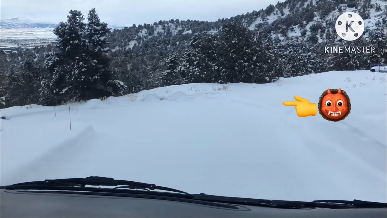 We ask snow quarter - YouTube