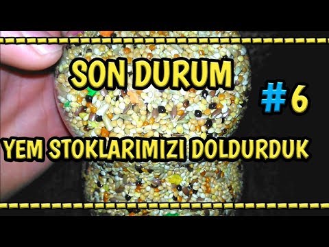 SON DURUM 29.01.2018