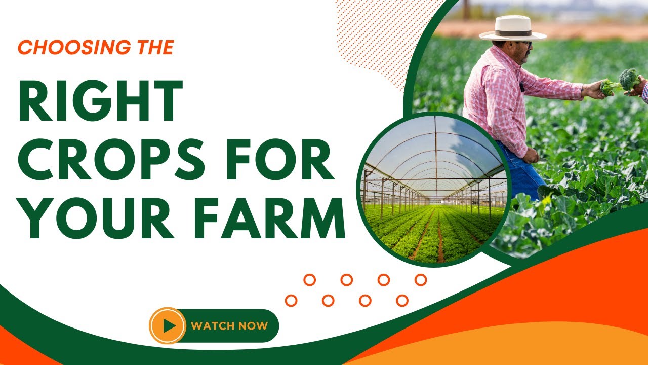 Choosing the Right Crops for Your Farm A Beginner’s Guide - YouTube