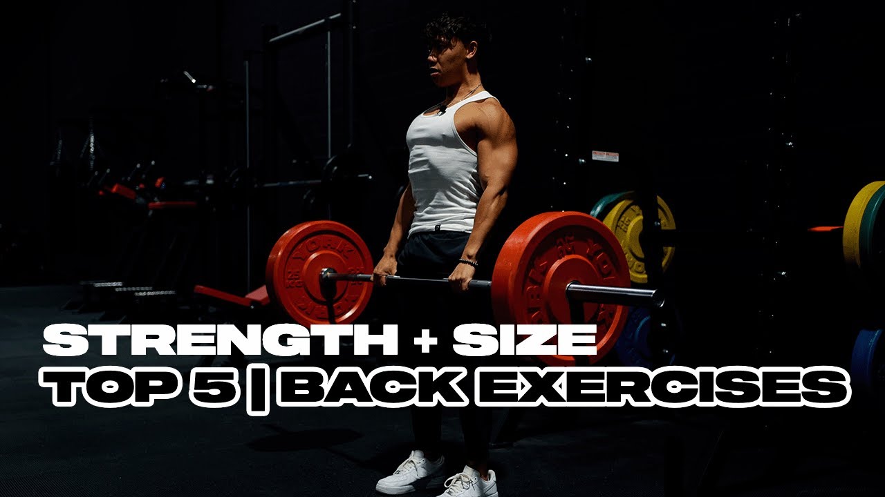 Top 5 Back Exercises For Massive Gains 💪 Simple And Effective Exercises