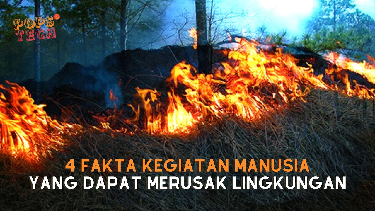 Popsctech : 4 FAKTA KEGIATAN MANUSIA YANG DAPAT MERUSAK LINGKUNGAN #15 ...