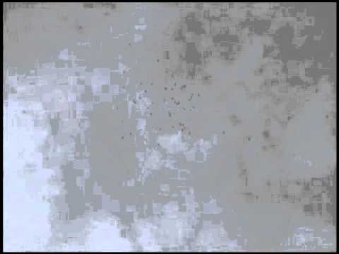 BirdCalling  Swiflet On SiteSREP