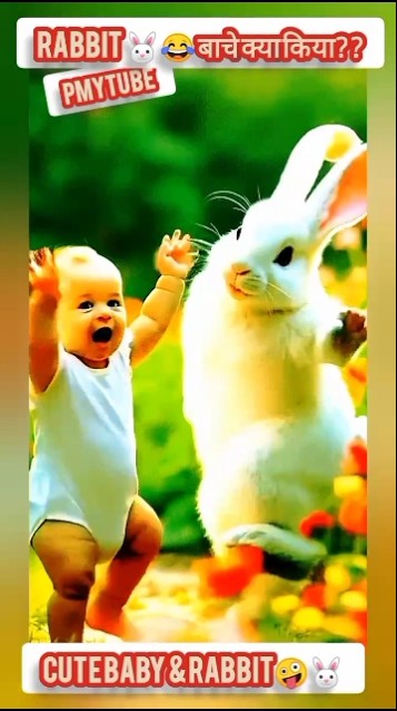 👼🐰|| Cute Baby & Rabbit With Dance Challenge || Rabbit & Baby || #cute ...