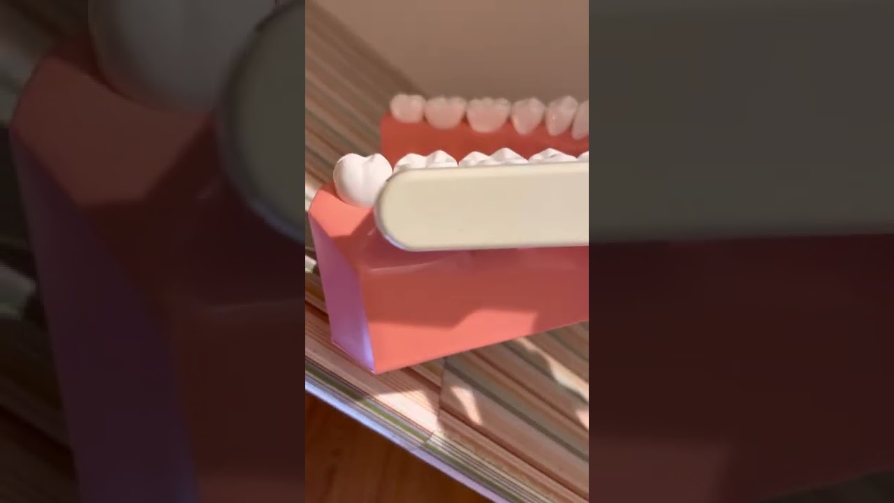 Smith brushing technique - YouTube
