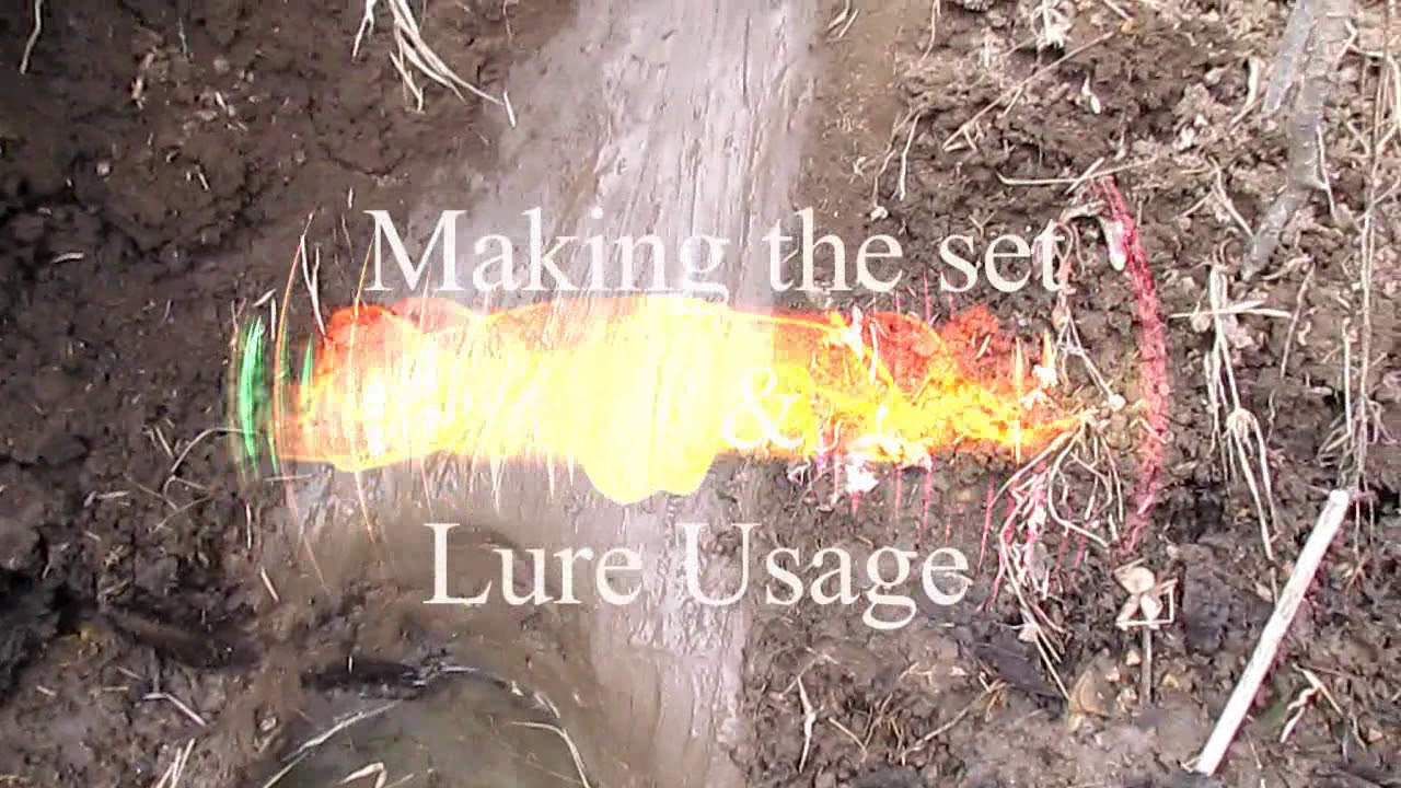 Otter trapping with footholds - YouTube