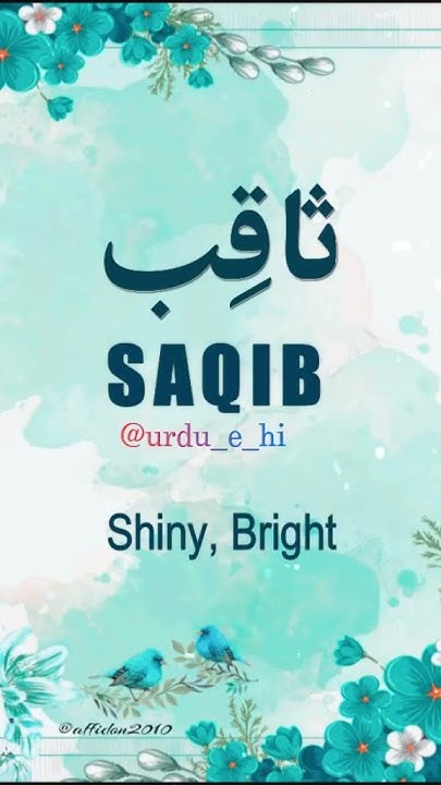 🌹Saqib🌹 | Name Meaning Status || Urdu e Hind Official | - YouTube