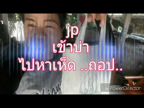 Jp เข้าป่า หาเห็ดถอป