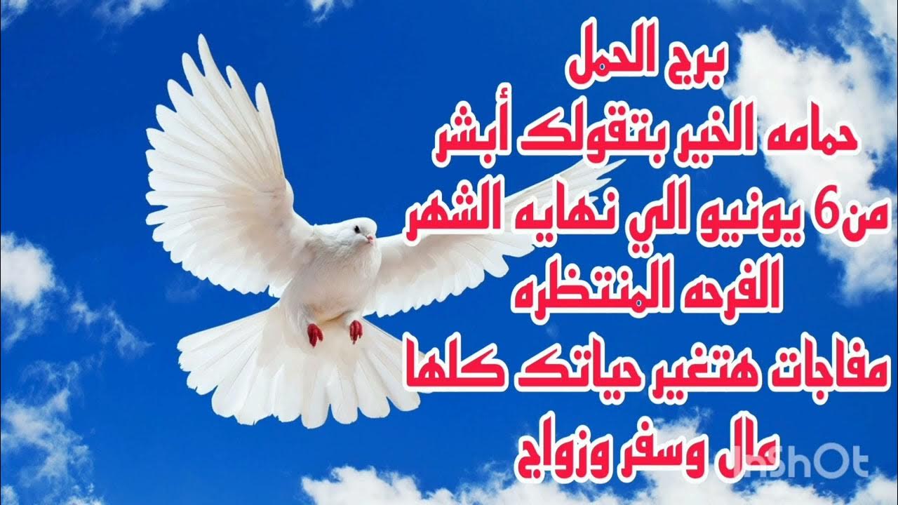 برج الحمل حمامه تحمل لك بشاره خير 💫 من6 يونيو الي نهايه الشهر 💫 مفاجات هتغير حياتك كلها للاحسن