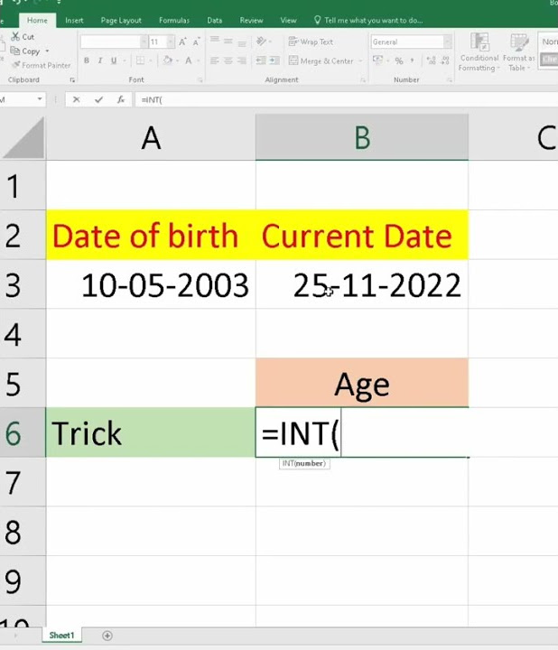 Advance Excel Best Trick Calculate Age Excel L Shorts Computer