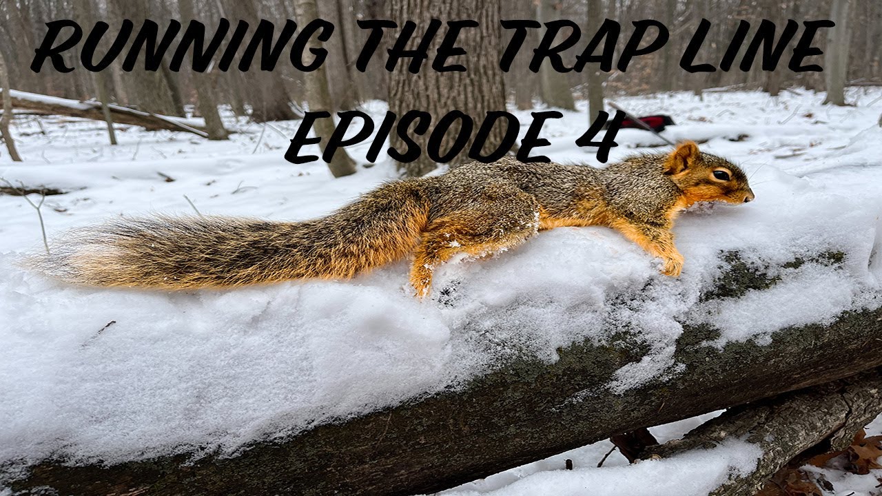 Running The Trap Line - Day 4 - YouTube