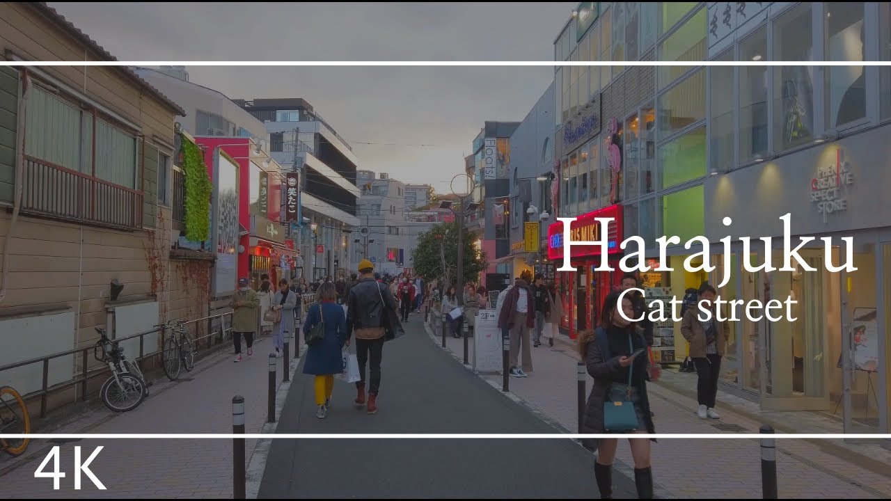 Harajuku Cat street Tokyo, Japan | 30 min walking to TRUNK hotel real ...