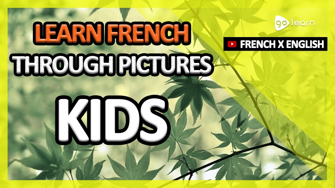 Learn French Through Pictures |French Vocabulary Kids | Golearn - YouTube