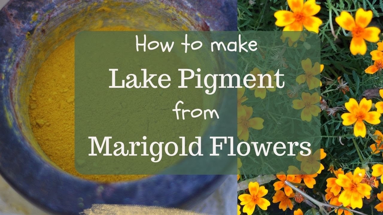 Marigold lake pigment - YouTube