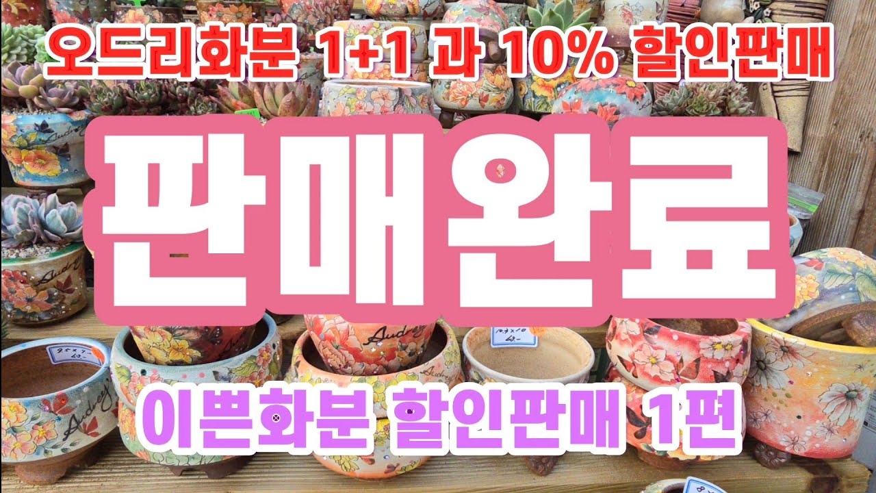 1편 오드리화분 구독자분들 10 한정판매와 11화분까지 찜하시고 디테일 사진은 사장님에게 요정하세요 수제화분 오드리 유라시아 수제화분 다육들의향연 달콤한총각