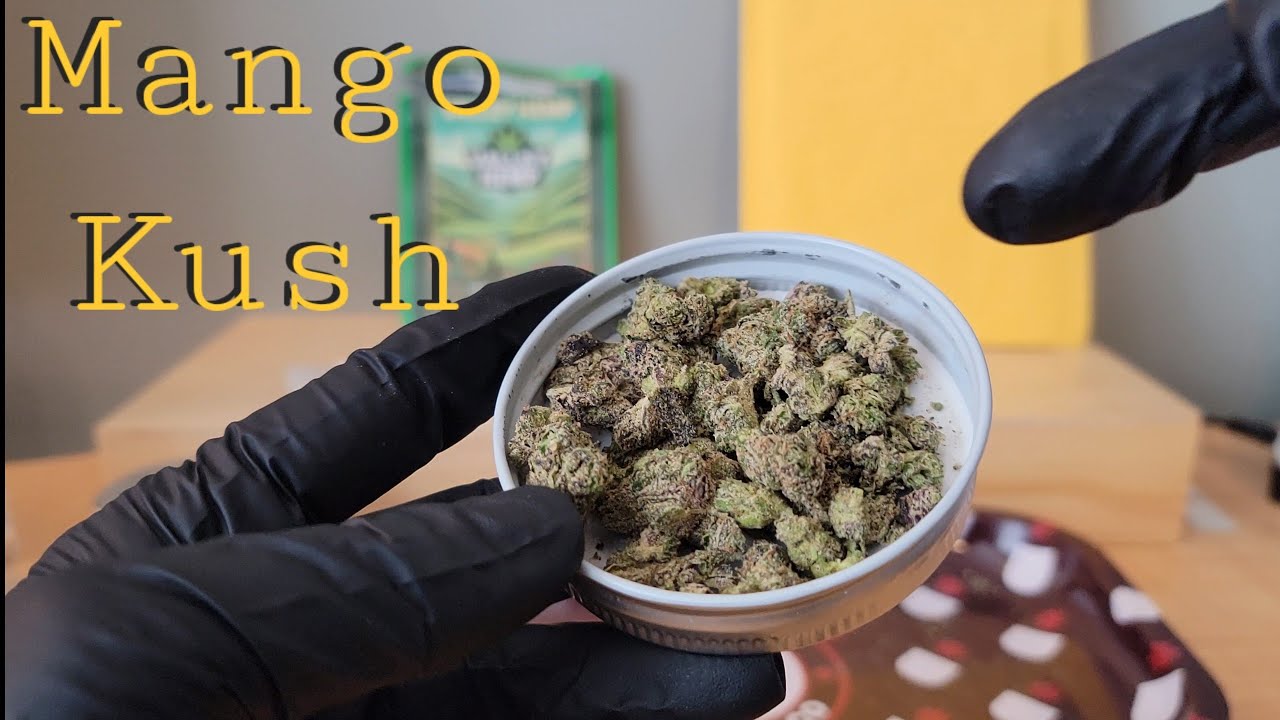 Mango Kush - Valley Hemp USA - THCa Flower Review - YouTube