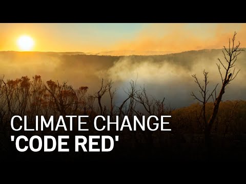 Climate Change the ‘Code Red' for Humanity: Report