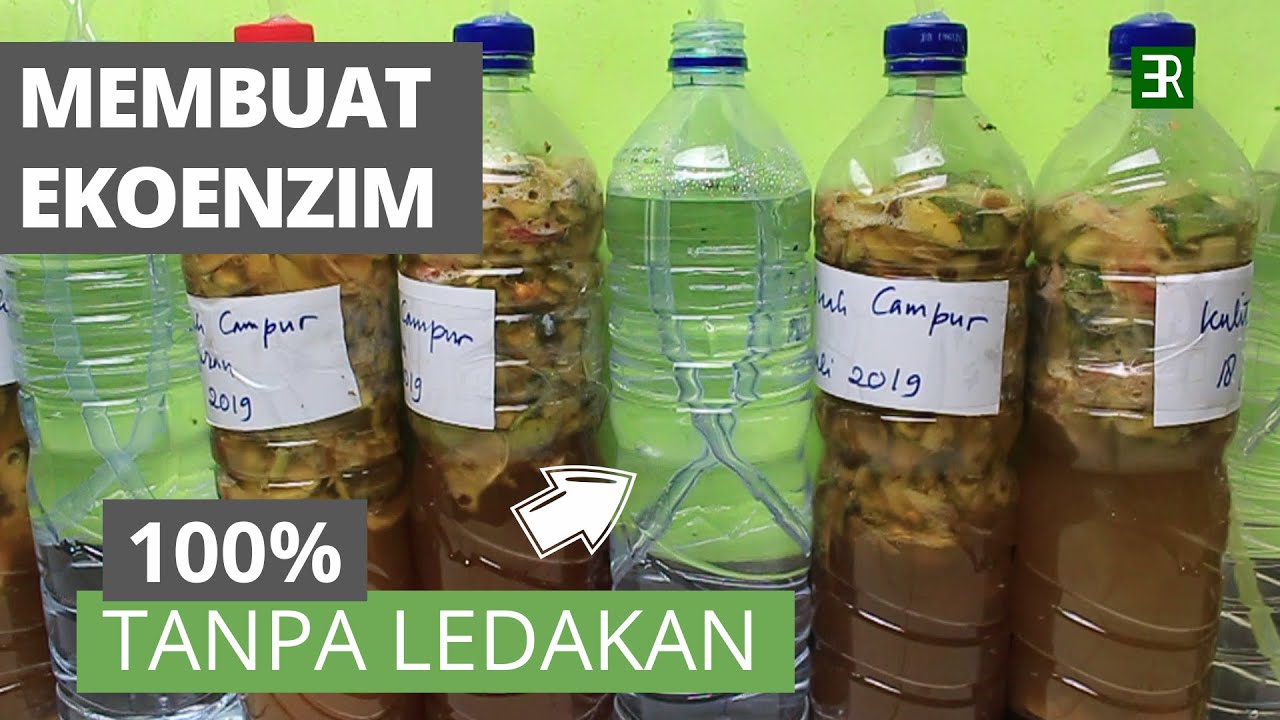 Membuat Ekoenzim (Eco Enzyme) TANPA LEDAKAN | CAIRAN SERIBU MANFAAT ...