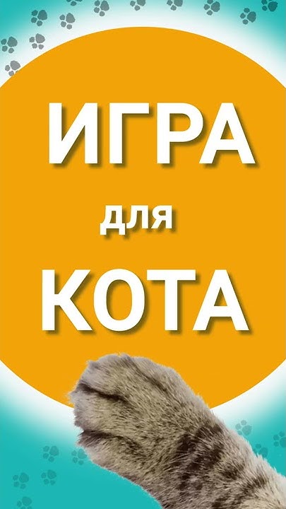 Игра для кошек Видео для кошек Shorts Youtube