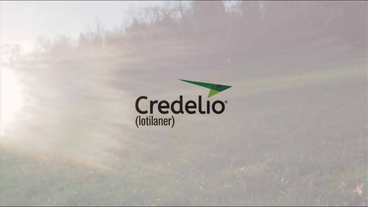 How lotilaner works | Credelio tick and flea control - YouTube