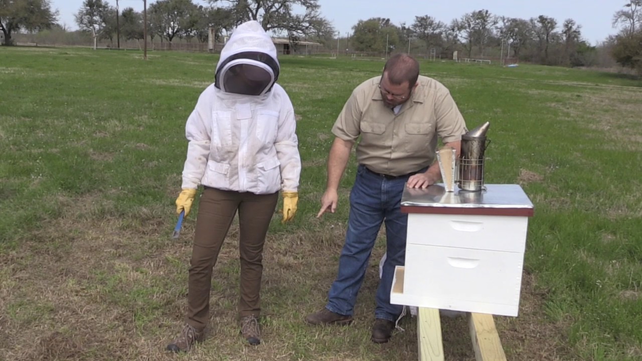 Mark Dykes - Veterinary Feed Directive - Honey Bees in Texas - E - YouTube