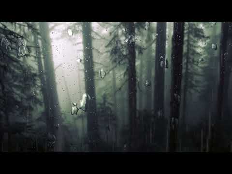 the hanging tree - jennifer lawrence & james howard // with Rain // (Slowed + Reverb + Loop)