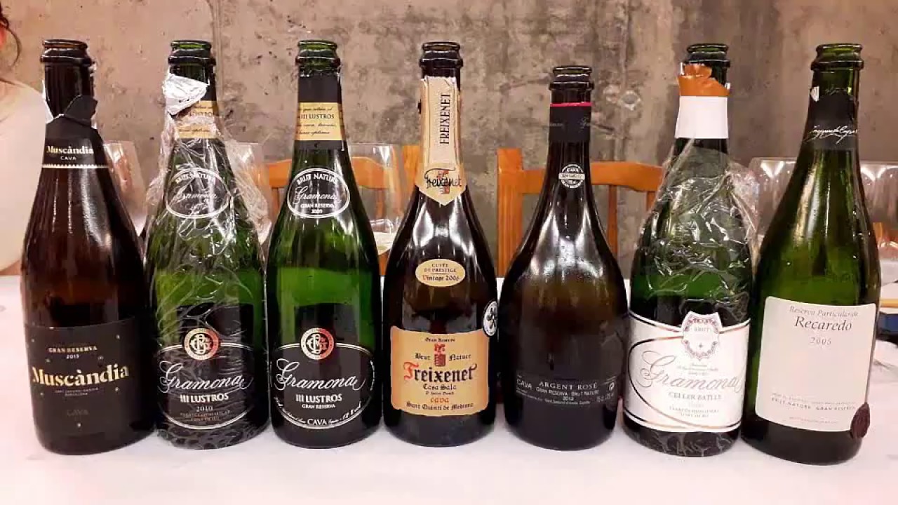 Cavas de Catalunya: Cata de Vinos Espumosos - YouTube