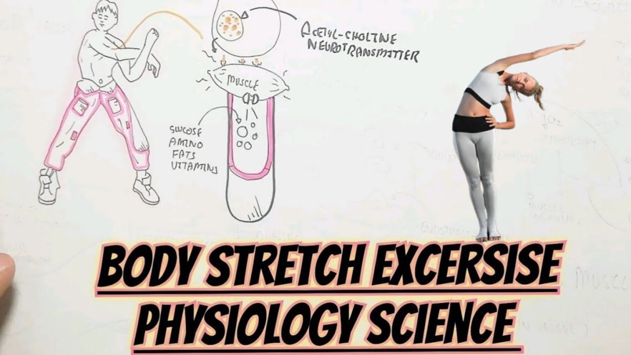 Stretching Science - YouTube