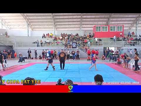 KUNG FU L4 - YouTube