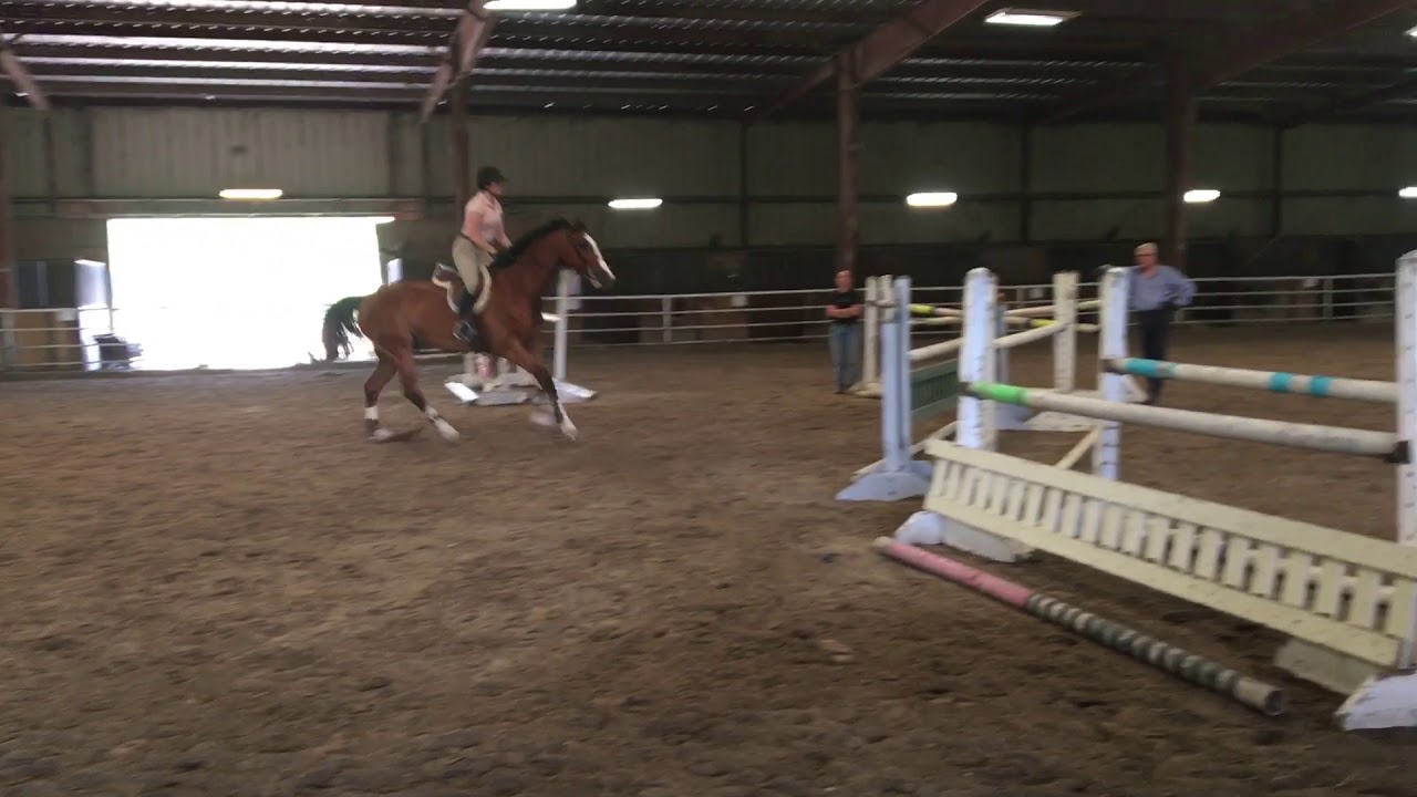 Breeze and Caitlin with Dale - YouTube