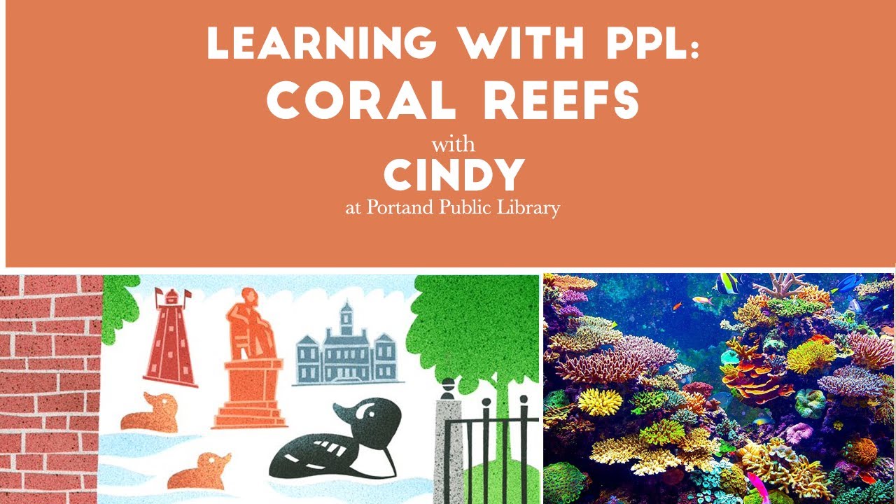 Learn with PPL: Coral Reefs - YouTube
