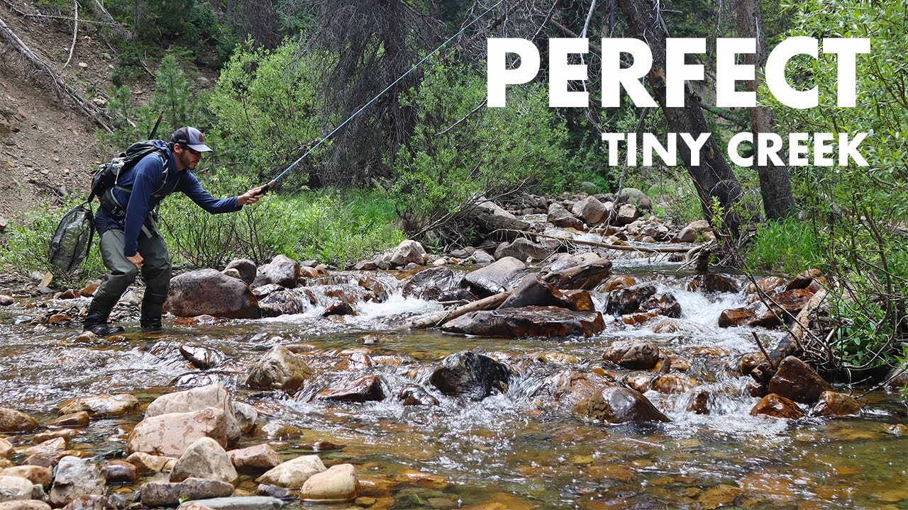 Tiny Creek Fishing Doesn't Get Much Better Than This! (Tenkara Fly ...