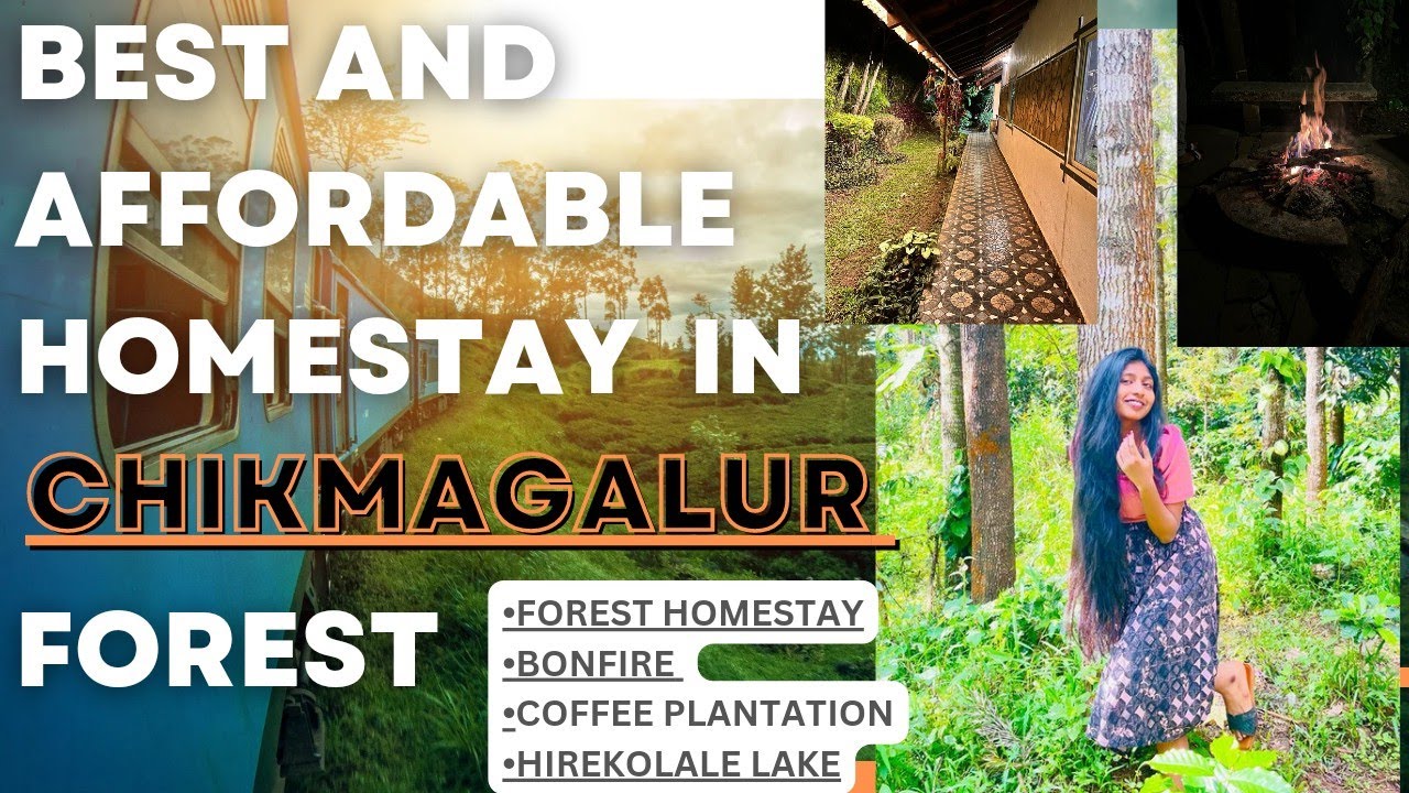 Forest Stay/HomeStay in Chikmangulur| Still Water Homestay| Budget ...