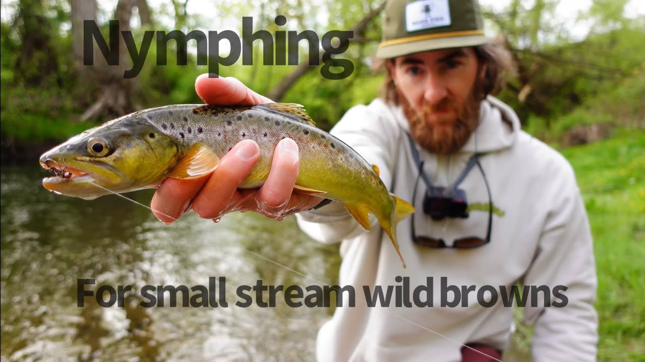 Tight line Nymphing for Wild Brown Trout. - YouTube