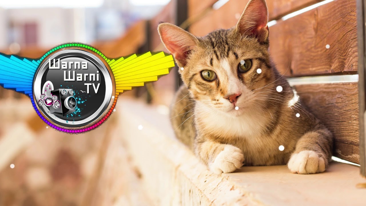 Background Musik Komedi Lucu Cocok Buat Backsound Video | No Copyright ...