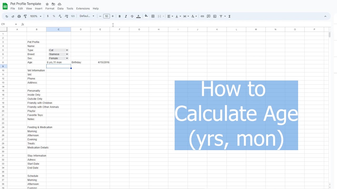 Easily Calculate Age with this formula - YouTube