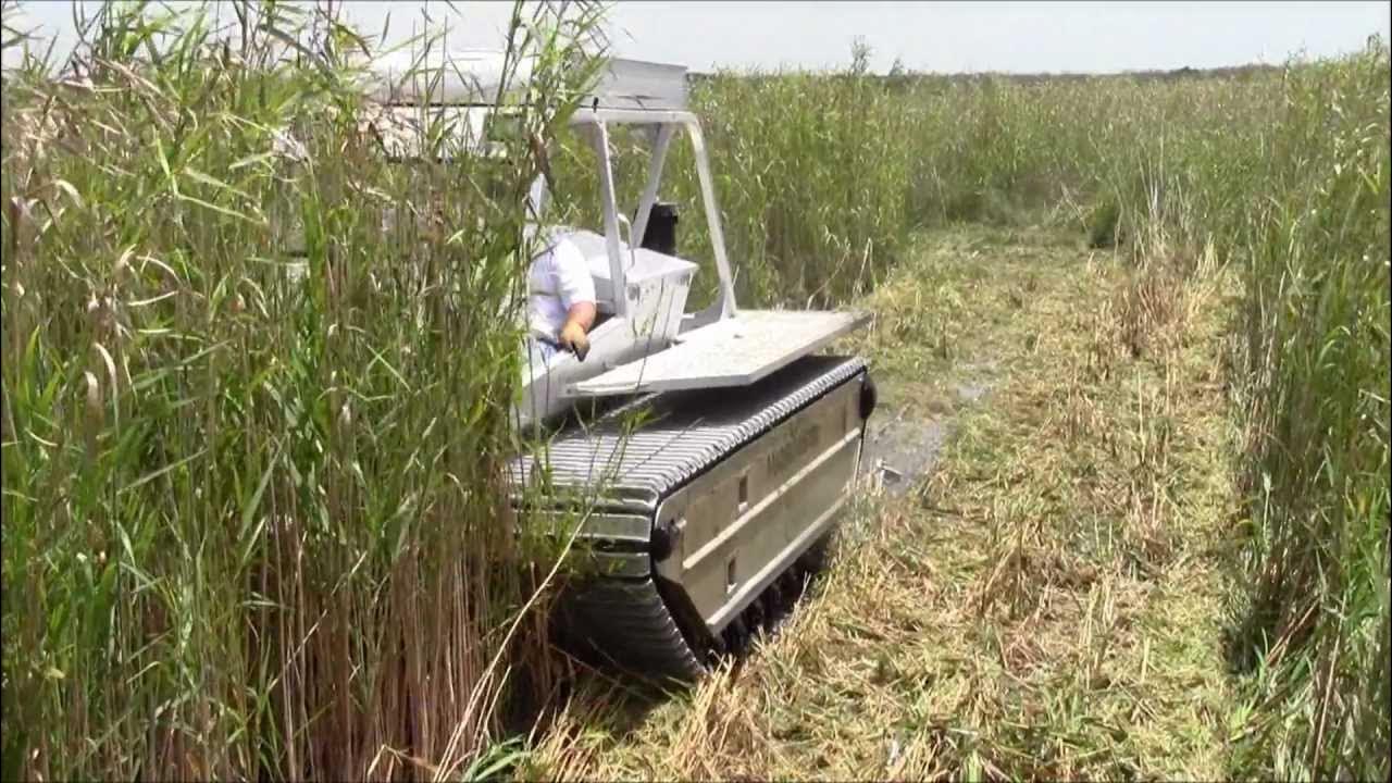 Marsh Master MM-2C Cutting Phragmites - YouTube