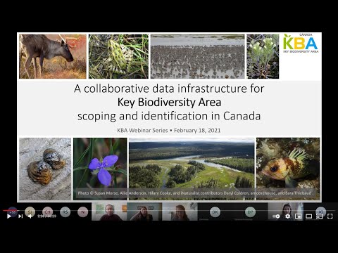 Methods, tools and data for KBA identification and beyond - YouTube