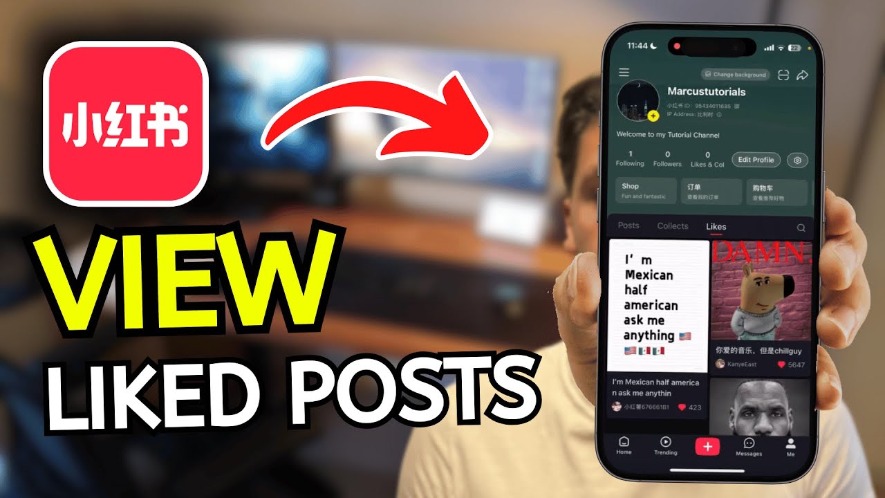 How to See Liked Posts on RedNote - See Liked Photos and Videos - YouTube