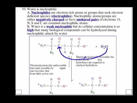 Water part2 nucleophile - YouTube