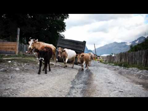 Mazeri. Svanetia. Georgia
